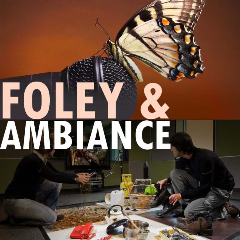 Foley sound studio | foley studios | foley recording studio